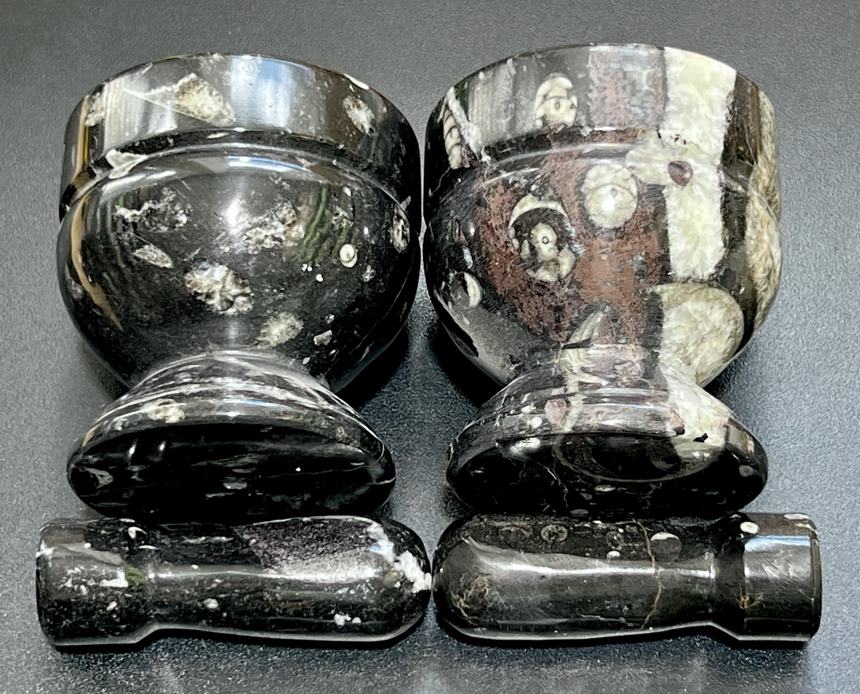 Orthoceras Mortar and Pestle Set (Mortar + Pestle) Polished Black Foss ...
